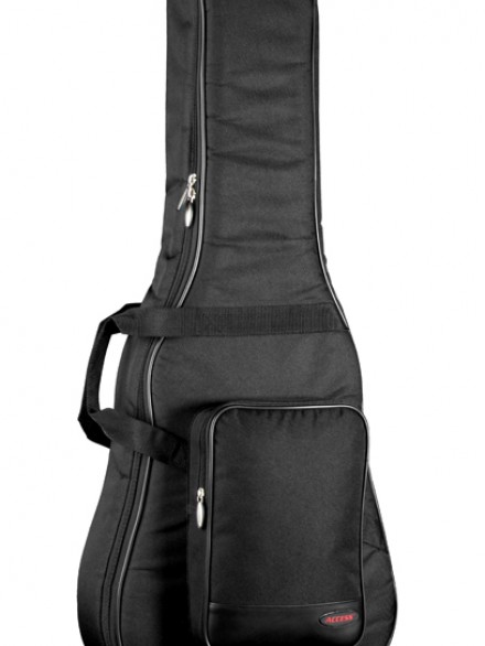 Maple Street Guitars | Cases